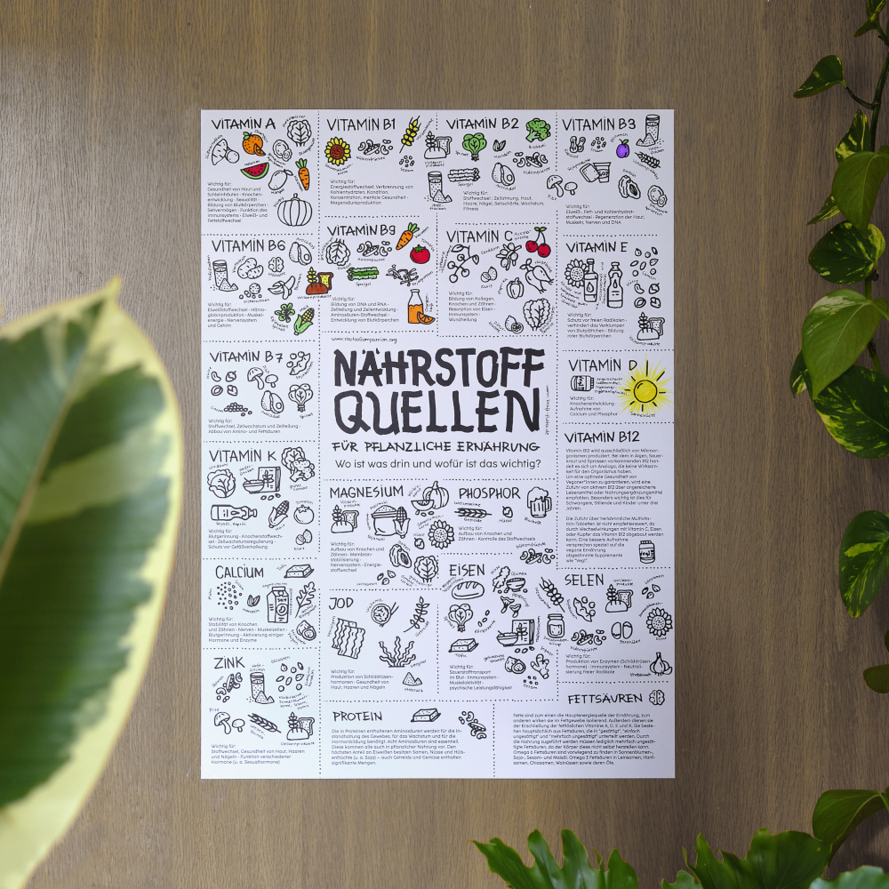Poster "Vegetable Nutrient Sources" by Pia Kraftfutter